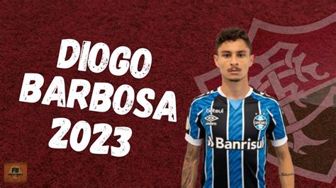 Diogo Barbosa Chegando Ao Fluminense Todos Seus Cruzamentos Em 2023