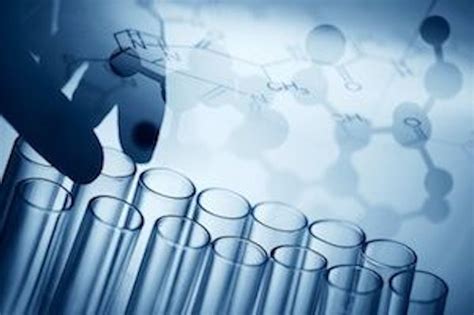 Immune Signature Could Help Tailor Treatment Choices In Nsclc