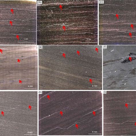 Large Thin Section Photos Showing Macro Fractures Of The Download Scientific Diagram