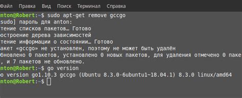 Golang Как удалить Gccgo компилятор с Linux Mint Stack Overflow на