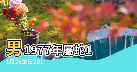 男1977年屬蛇11月26生日2018運程怎麼樣 1977年出生的屬蛇人2018年運勢完整版 1977年屬蛇的人2018年運程