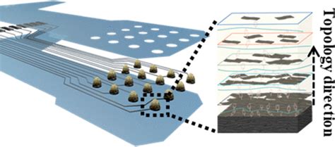 Topological Mxene Network Enabled Mixed Ionelectron Conductive Hydrogel Bioelectronics Acs Nano