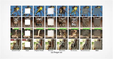 Machine Unlearning May Be The Solution To Problematic AI Data PetaPixel