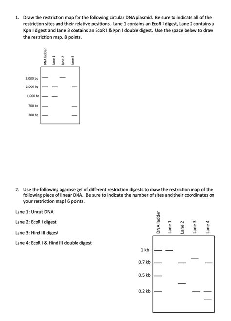 Solveddraw The Restriction Map For The Following Circular Dna Plasmid