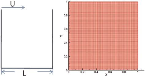 Computational Domain And Grids Download Scientific Diagram