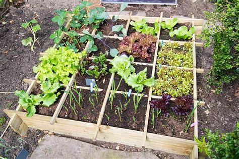 25 Incredible Vegetable Garden Ideas
