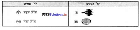 PSEB th Class Science Solutions Chapter ਬਜਲ ਅਤ ਸਰਕਟ PSEB Solutions