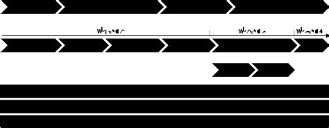 Seamless Sales And Operations Planning With Sap Ibp Infosys