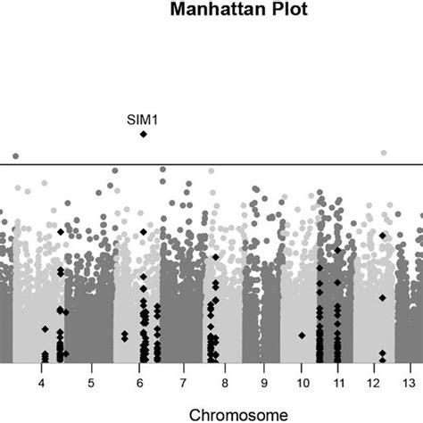 manhattan plot for genome wide p values for the association p values