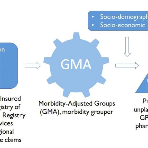 The Diagram Provides An Overview Of The Data Input Risk Stratification