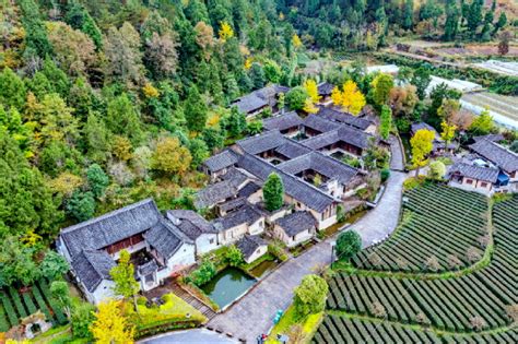 会长风采王有泉：茶旅融合发展助推陕南乡村振兴 最新动态 陕西茶文化研究会