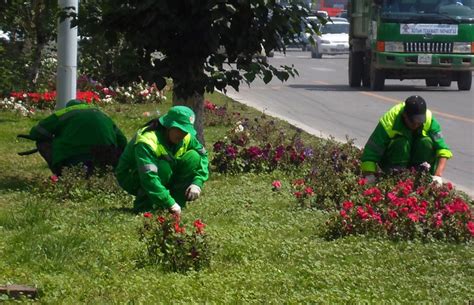Ногоон байгууламжийг нэмэгдүүлэхэд санал нэгдэв