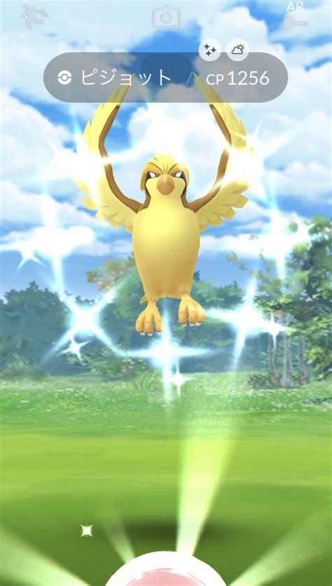 【ポケモンgo】ピジョットの色違い、 入手方法と実装状況 攻略大百科