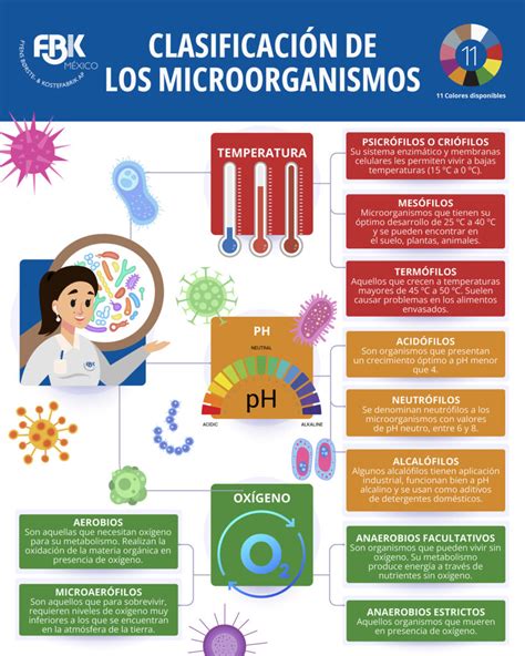 Clasificacion De Los Microorganismos Porn Sex Picture