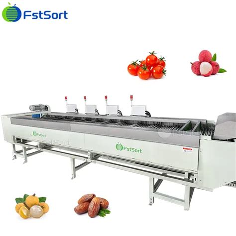 fruit classifying date classification size grading machine jujube