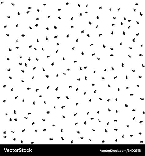 Sesame Seeds Black Seamless Background Random Vector Image