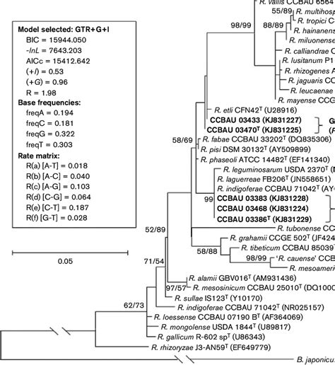 Ml Tree Reconstructed Based On 16s Rrna Gene Sequences Showing The