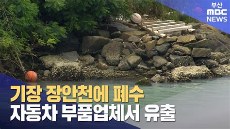 기장 장안천에 폐수 자동차 부품업체서 유출 2024 07 22월뉴스데스크부산mbc Youtube