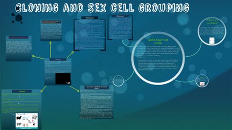 Cloning And Sex Cell Grouping By Marshall Thomas On Prezi
