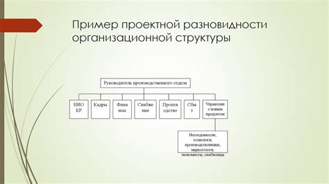 Пример линейной функциональной и штабной разновидностей