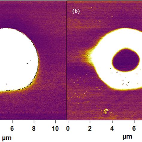 A Schematic Description Of The PFM Technique The Switching Waveform Download Scientific