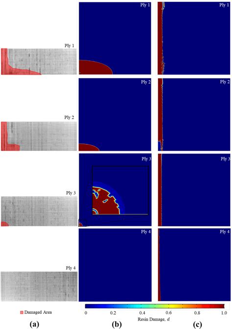 Comparison Of X Ray Ct Results Vs Fe Predictions A X Ray Scan Ply