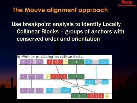 ppt mauve methods for multiple genome alignment powerpoint