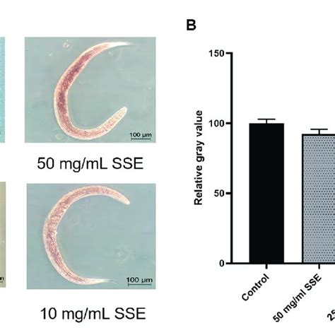 SSE Accelerated The Lipid Metabolism Of Caenorhabditis Elegans A