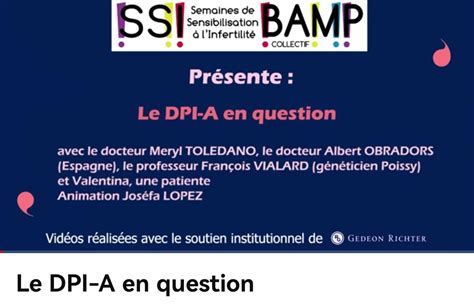 Le Dpi A En Question Bamp