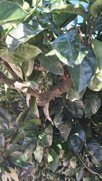 나홀로 휴식 니가 거길 왜 있어 Youtube