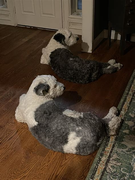 There Hasnt Been A Lot To Share From The Synchronized Sleepers Lately Maybe There Were In A