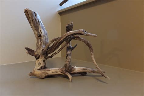 Grasshopper Art Piece Sold Driftwood Studio