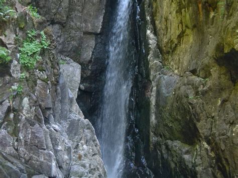 2023年11月stanley Ghyll Force Waterfall景点攻略 Stanley Ghyll Force Waterfall门票预订 地址 图片 Stanley Ghyll