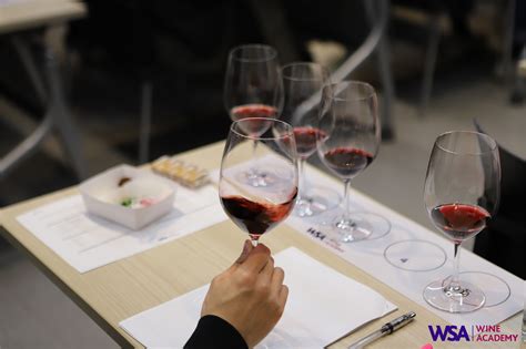 118목~21목 부르고뉴 와인 마스터 과정 후기 Wsa와인아카데미