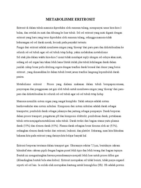 Metabolisme Eritrosit Pdf