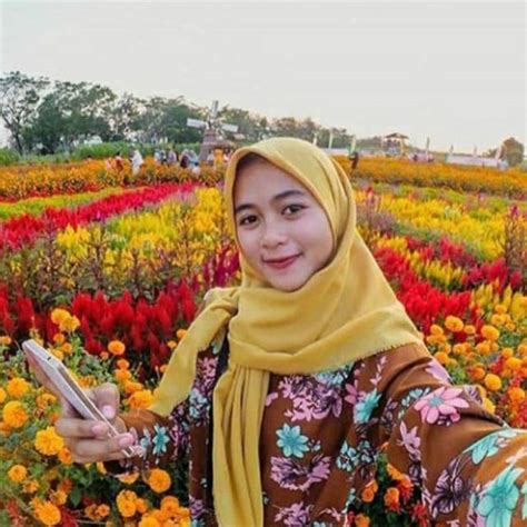 Produk Bibit Tanaman Hijau Shopee Indonesia
