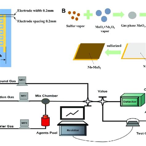 A The Geometry Of The Electrodes Of The Sensor B The Process Of Download Scientific Diagram