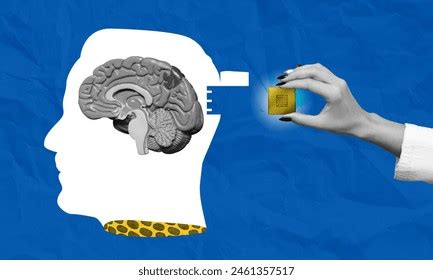 Neuralink bci 图片库存照片 D 物体和矢量图 Shutterstock