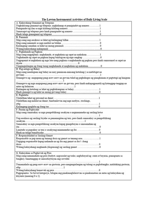 Iadl Translation Final Pdf Pdf