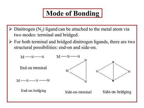 Dinitrogen Complexes Ppt