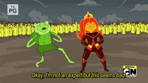 Adventure Time Anime Finn And Flame Princess
