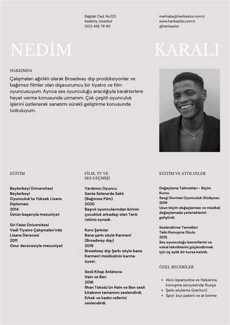 Profesyonel CV Örnekleri Ücretsiz Şablonlar Canva