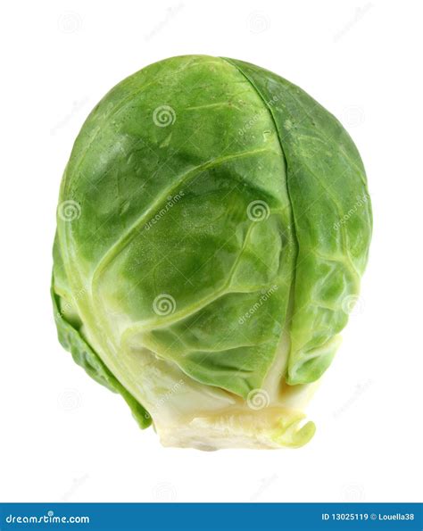 Mini Cabeça Do Repolho Imagem De Stock Imagem De Nutritivo 13025119