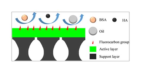 Preparation Of Antifouling Nanofiltration Membrane Via Interfacial Polymerization Of Fluorinated