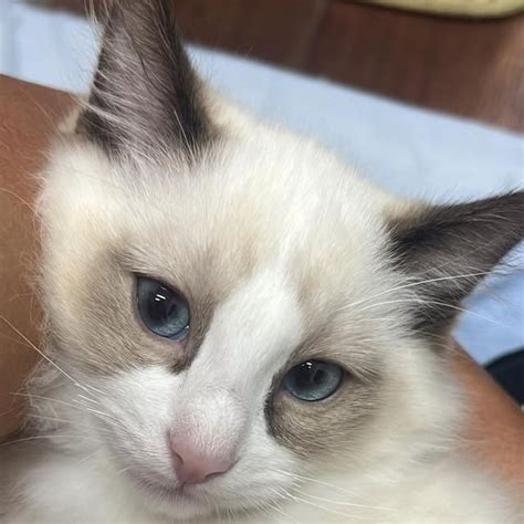 Derek Lee Kaiser Kin • Threads Say More