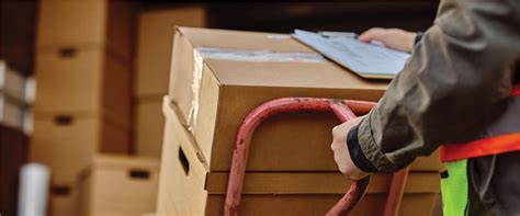 Mccs Leading By Example Marine Corps Martial Arts Command Team Excels On The World Stage