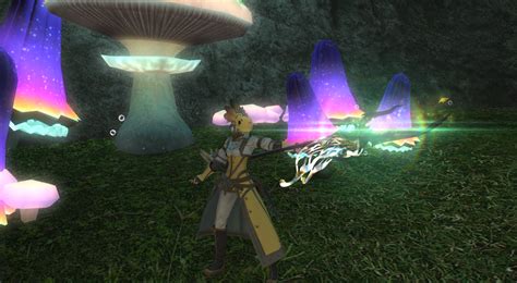 The Amber Chocobo 6 2 Update Eorzea Collection