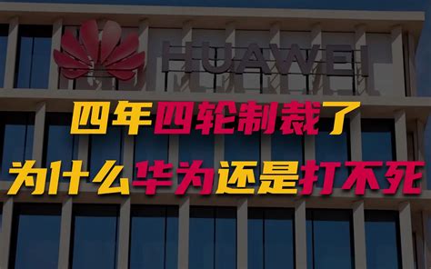 四年四轮制裁为什么华为还是打不死 财才说 财才说 哔哩哔哩视频