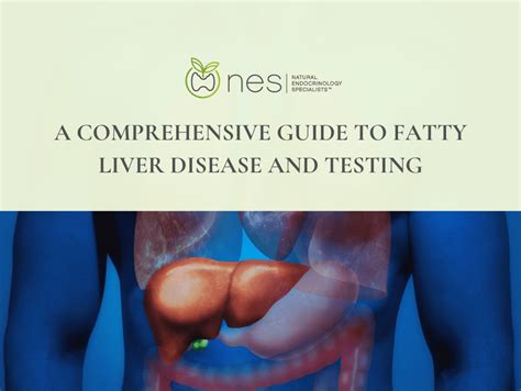 Comprehensive Guide To Fatty Liver Disease And Testing