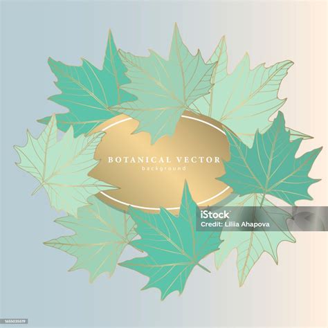 녹색 단풍잎이 있는 식물 금 스티커 텍스트 엽서 광고 소책자의 배경 0명에 대한 스톡 벡터 아트 및 기타 이미지 0명 꽃